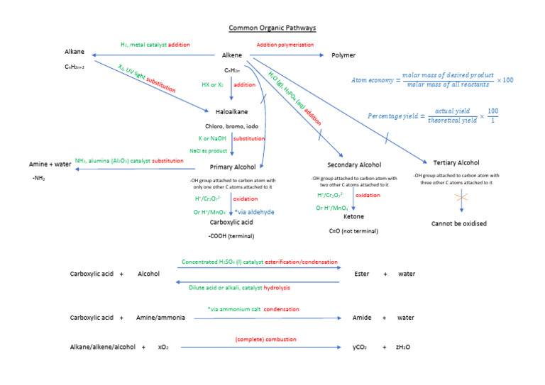 12 Organic Pathways | PDF | Ester | Alkene