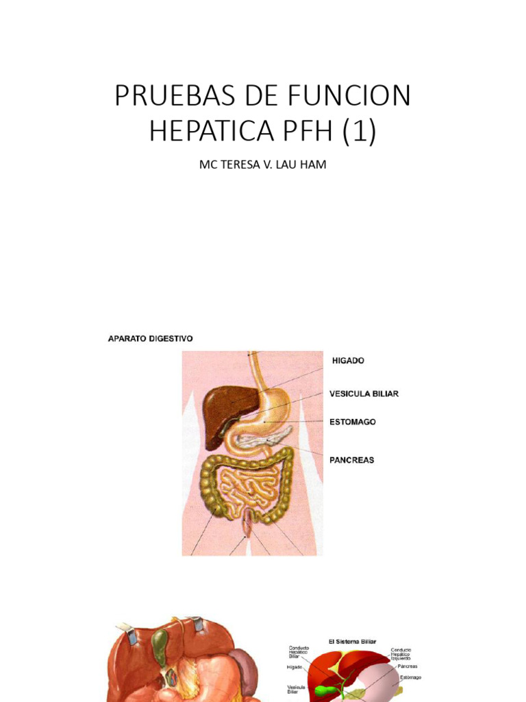 Pruebas de Funcion Hepatica PFH | PDF