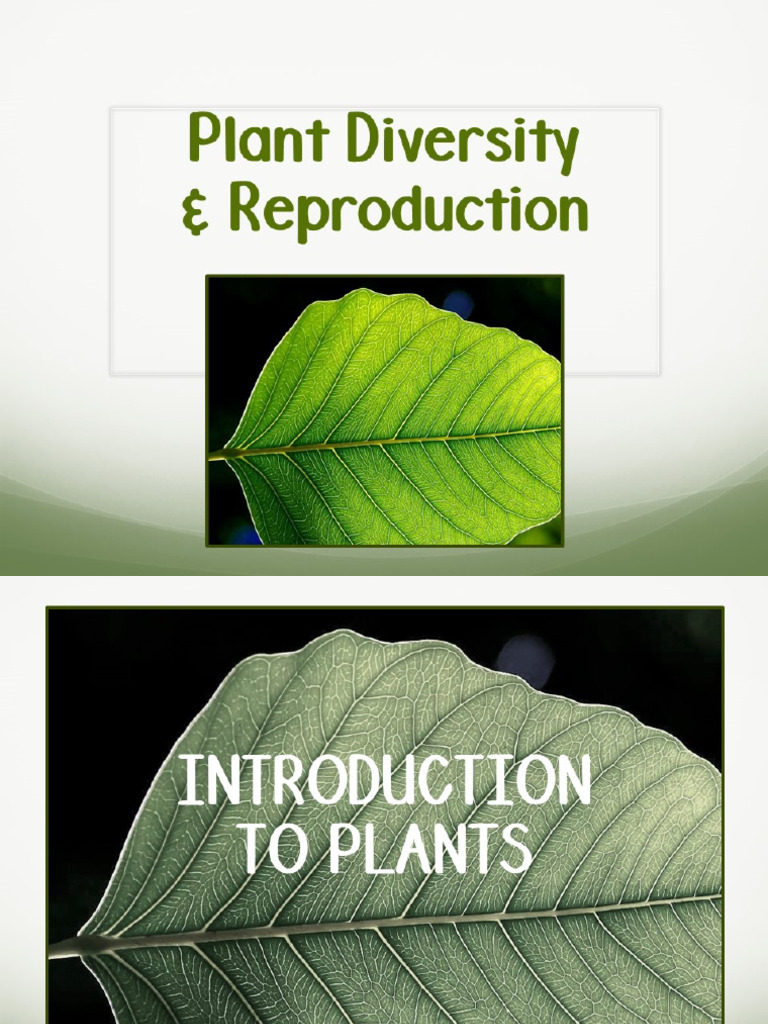 Plant Diversity & Reproduction | PDF | Seed | Organisms