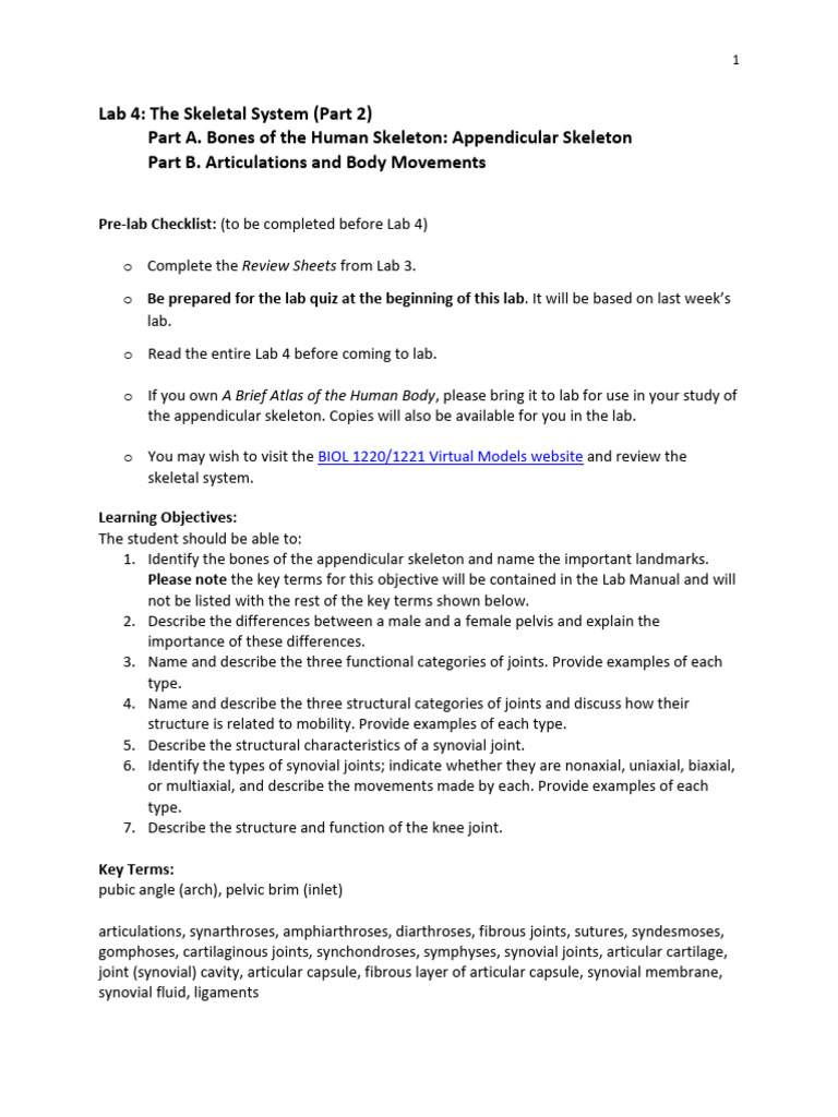 Lab 4 Appendicular Skeleton F24 | PDF | Pelvis | Hand