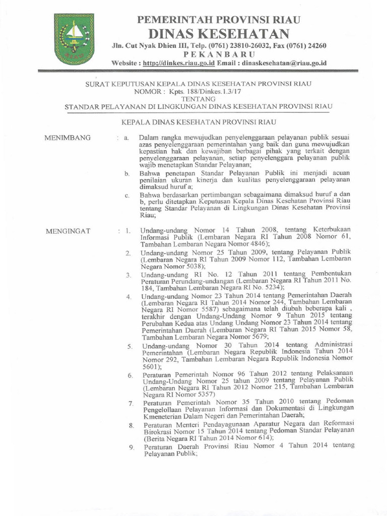 SK Standar Pelayanan Dinkesprov Riau | PDF