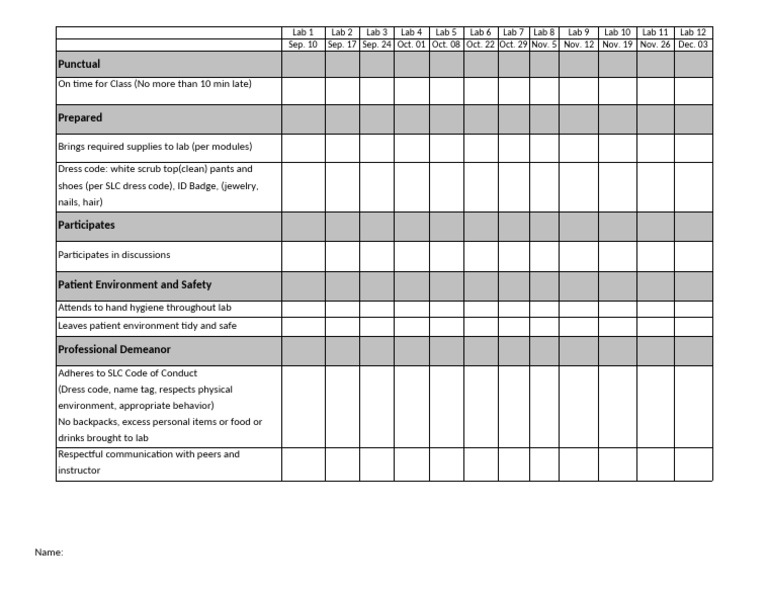 N1112 Professionalism Checklist F2024 - Tagged | PDF