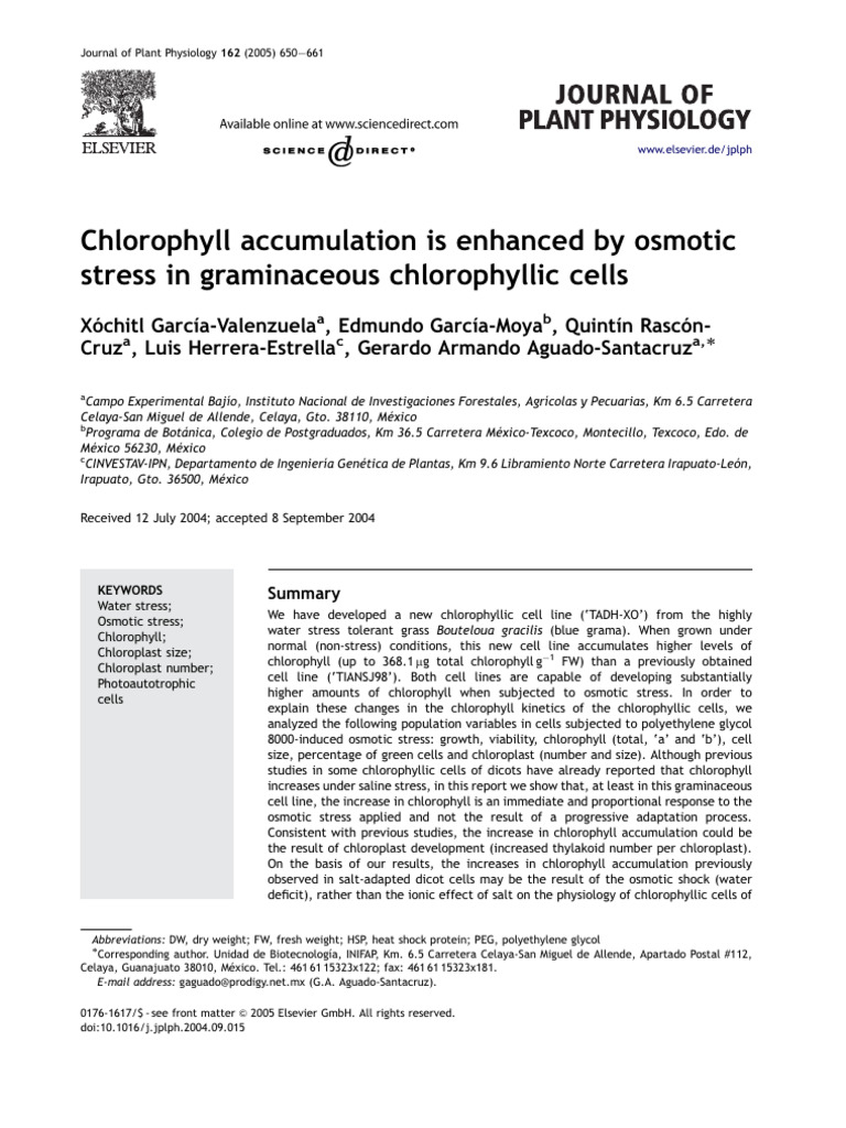 Chlorophyll Accumulation Is Enhanced by Osmotic Stress in Graminaceous ...