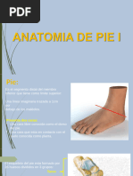 Ligamentos del Pie: Estructura y Función | PDF | Pie | Anatomía del ...