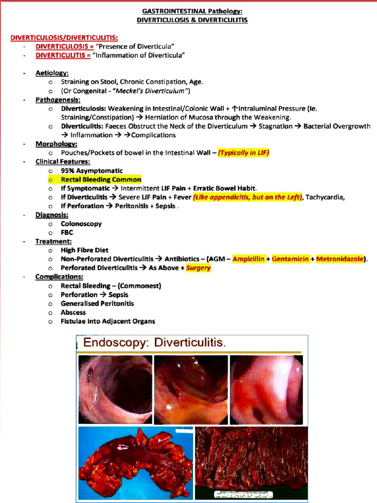 IBD, IBS, Diverticulitis | PDF | Crohn's Disease | Ulcerative Colitis