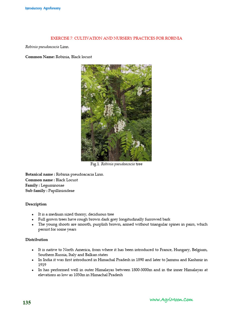 Agrostology Class Notes - 7 | PDF | Seed | Plant Nursery