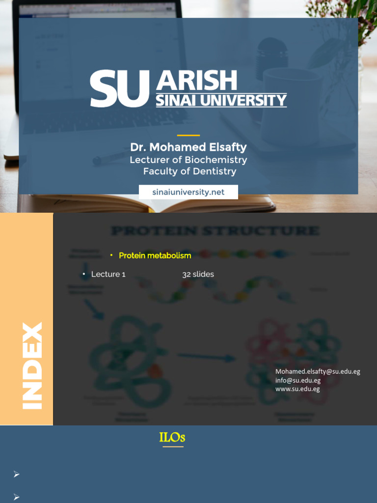 Biochem 1 Protein Chemistry - Lec Fin All | PDF | Amino Acid | Proteins