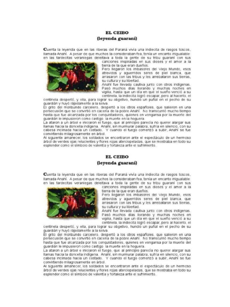 Ceibo | PDF