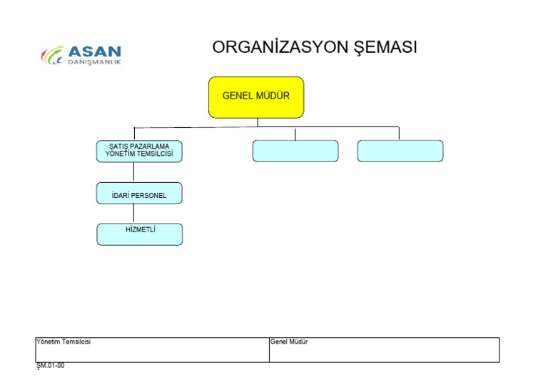 Organizasyon Semasi | PDF