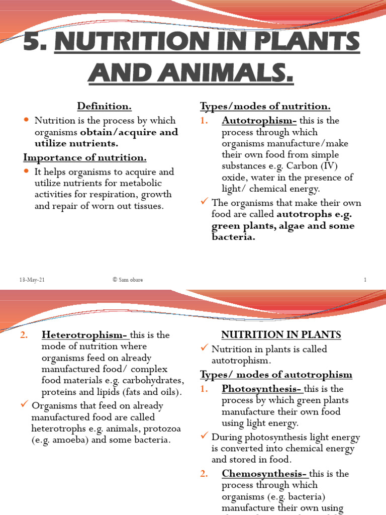 Nutrition in Plants and Animals. | PDF | Leaf | Photosynthesis