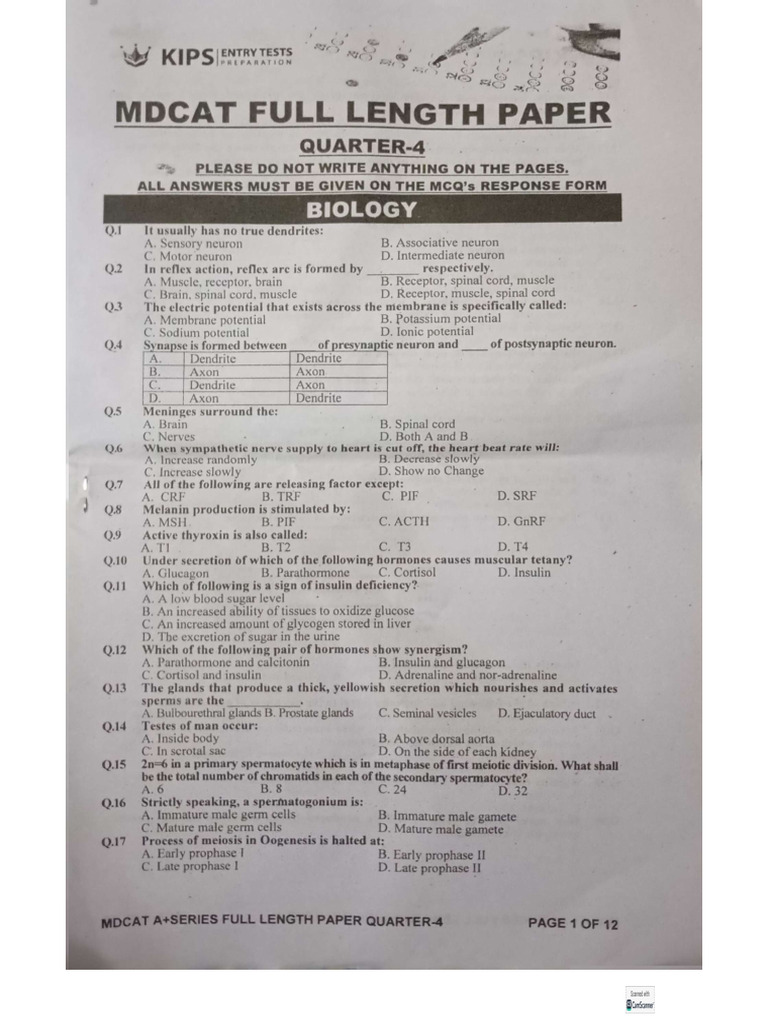 Kips FLP Quarter 04 | PDF