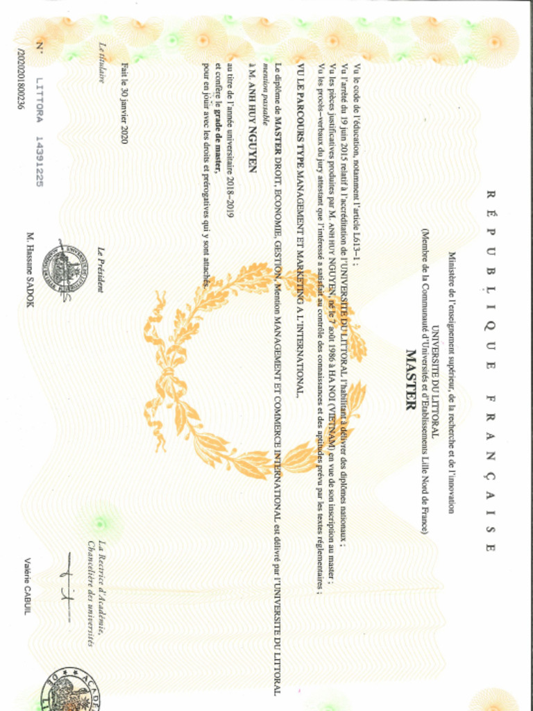 NGUYEN-Anh-Huy-Diplômes | PDF
