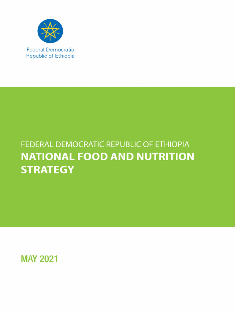 FNS Strategy Edited August 17 Final | PDF | Malnutrition | Food Security
