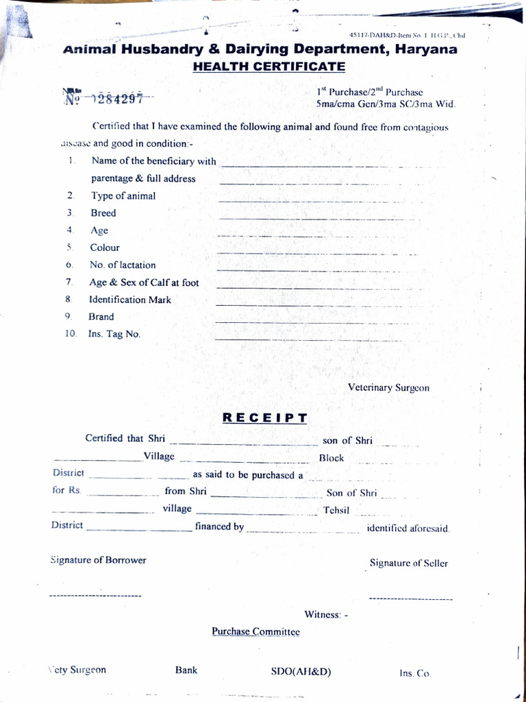 Health Certificate | PDF