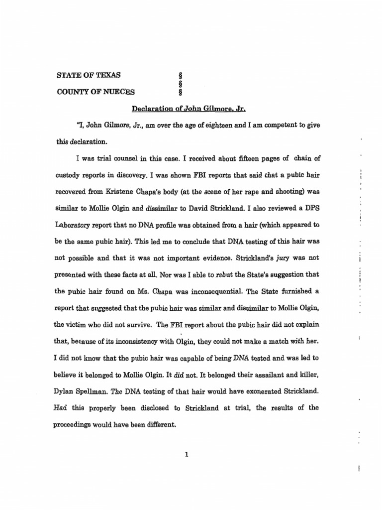 Justice For David Strickland - Declarations by John Gilmore and Jimmy ...