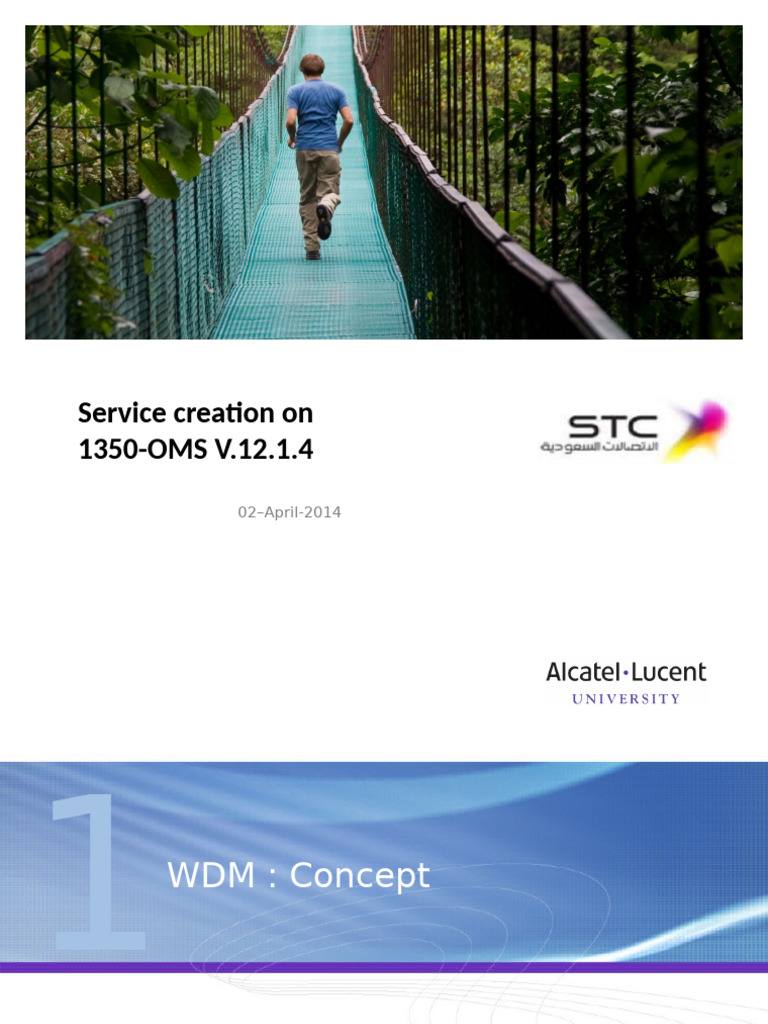 OMS 12.1.4 Service Creation STC Training | PDF | Wavelength Division Multiplexing | Electronics