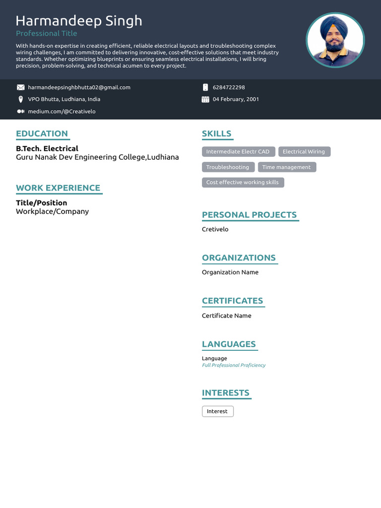 Electrical Engineer Profile and Skills | PDF