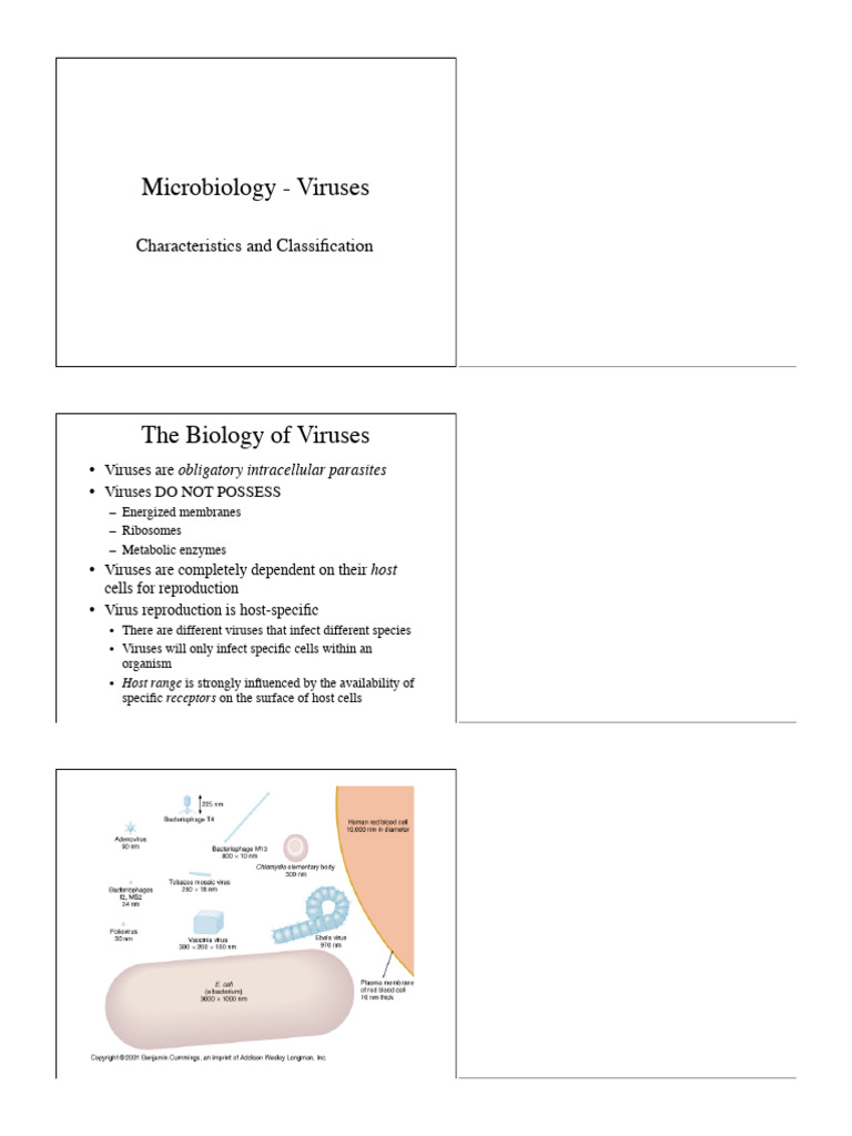 113lecture1706slides | PDF | Virus | Cell (Biology)