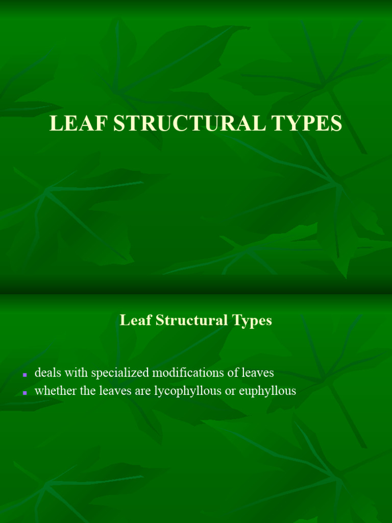Leaf Structural Types 6 | PDF | Leaf | Flowers