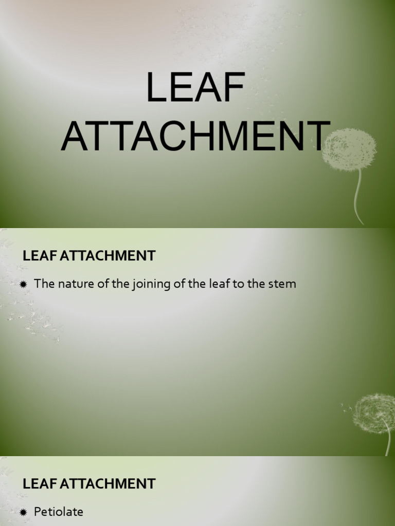 Leaf Attachment 8 | PDF