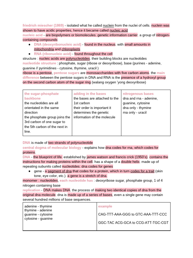 Understanding Nucleic Acids and DNA Functions | PDF | Nucleic Acids | Dna