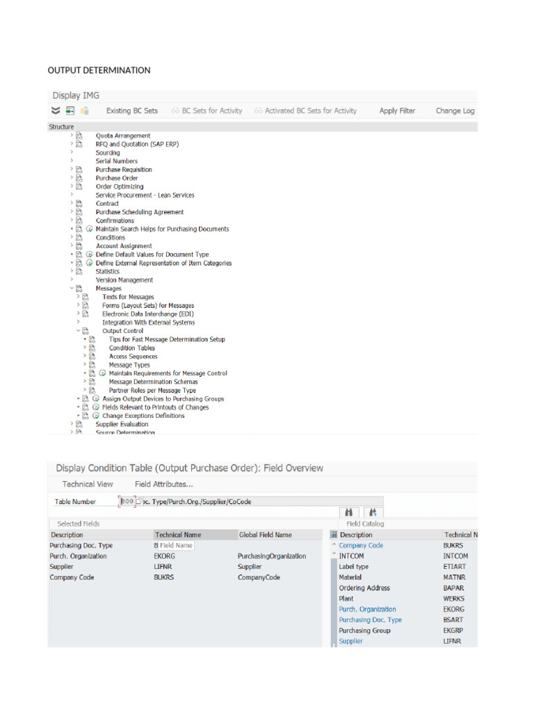 Output Determination | PDF