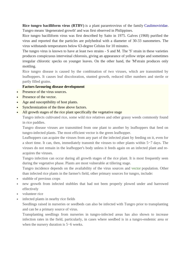 Rice tungro bacilliform viru1 | PDF | Rice | Botany