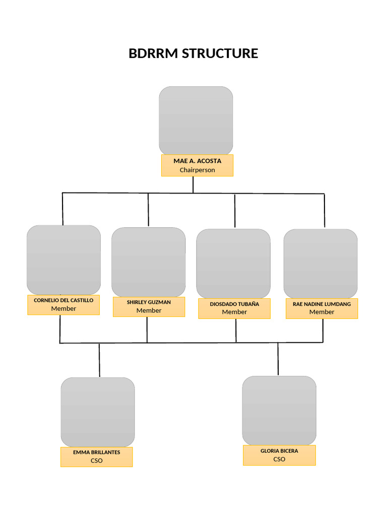 BDRRM Structure | PDF