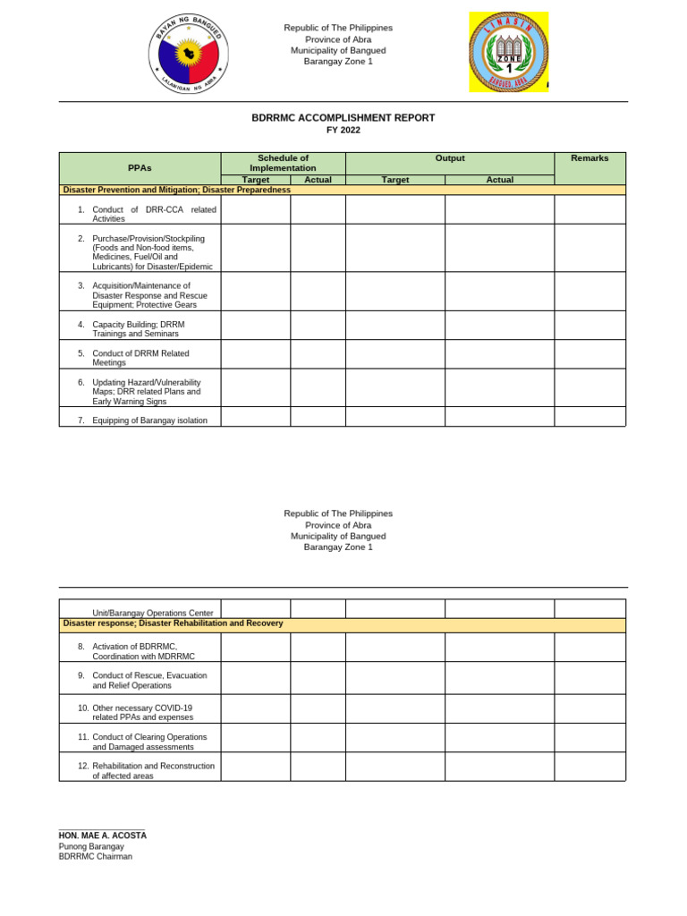 BDRRM Accomplishment Report | PDF