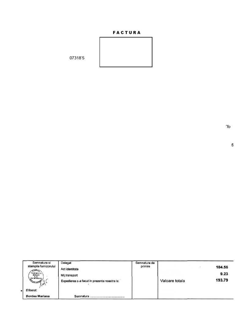 Model Factura - Nov2024 | PDF
