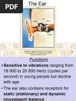 3 Life Sciences Grade 12 EAR STRUCTURE AND FUNCTION | PDF | Ear | Hearing