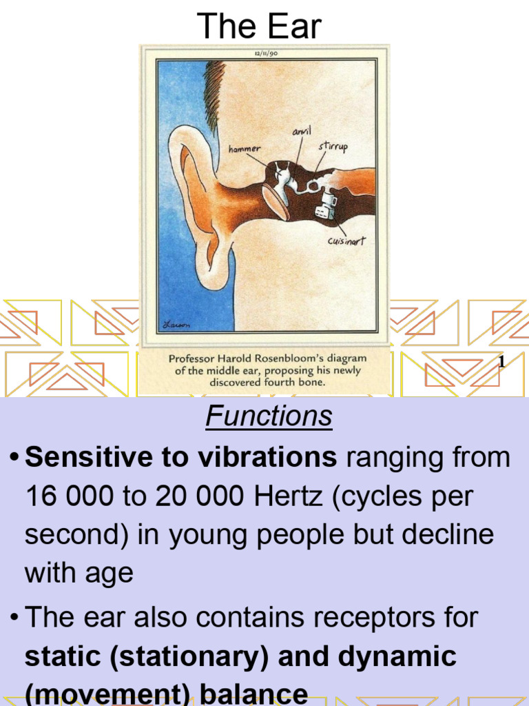 The Ear Teacher Fall 2024 N&i | PDF | Ear | Hearing