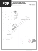 100 Endocrine System Objectives MCQ With Answers | PDF | Adrenal Gland ...