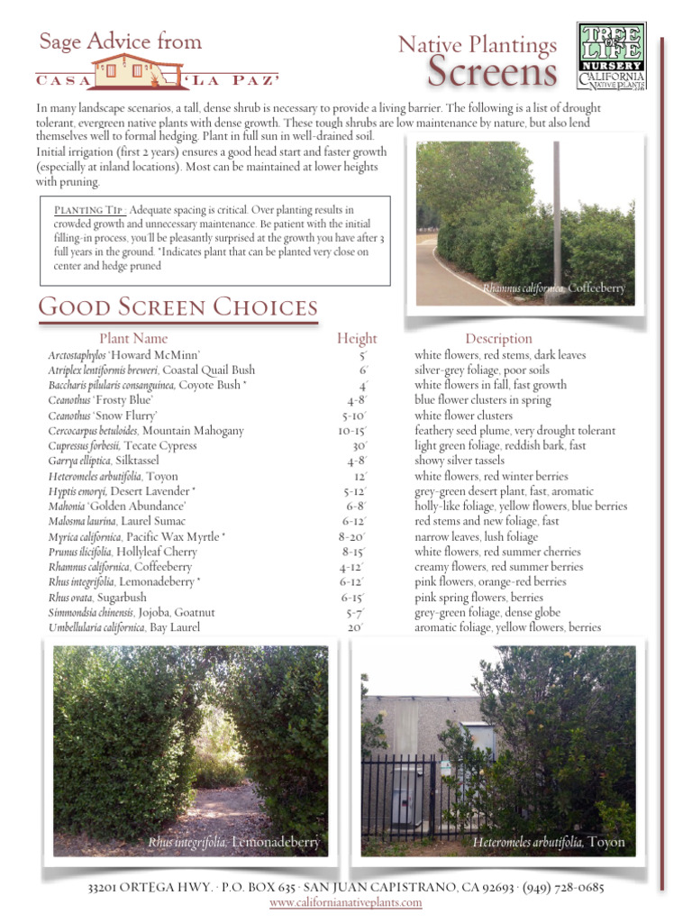 Native_Screens | PDF | Plants | Sustainable Gardening