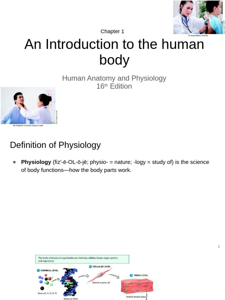 Chapter 1 - Introduction To Human Body | PDF | Human Body | Hormone
