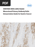 VENTANA MMR IHC Panel Guide 2017 | PDF | Immunohistochemistry ...