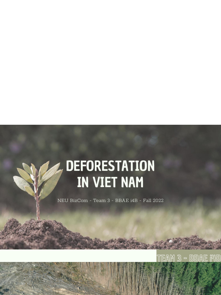 Deforestation in Viet Nam | PDF | Deforestation | Vietnam