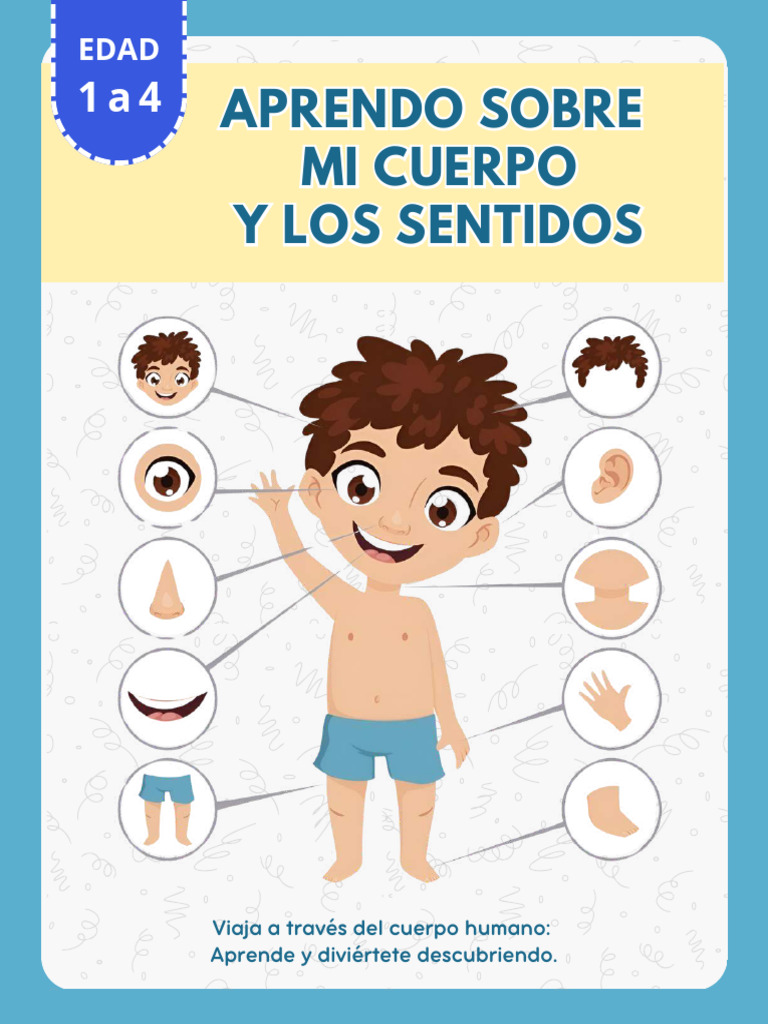 Descubriendo mi cuerpo y sentidos | PDF | Sistema digestivo humano | Cara