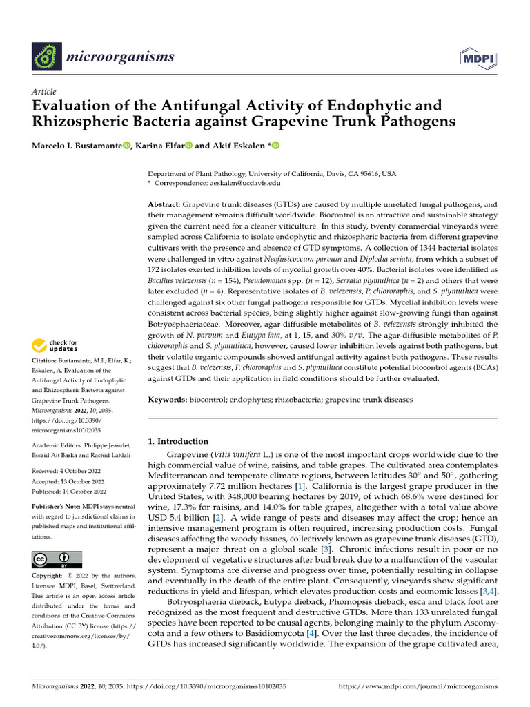 Evaluation of The Antifungal Activity of Endophytic and Rhizospheric ...