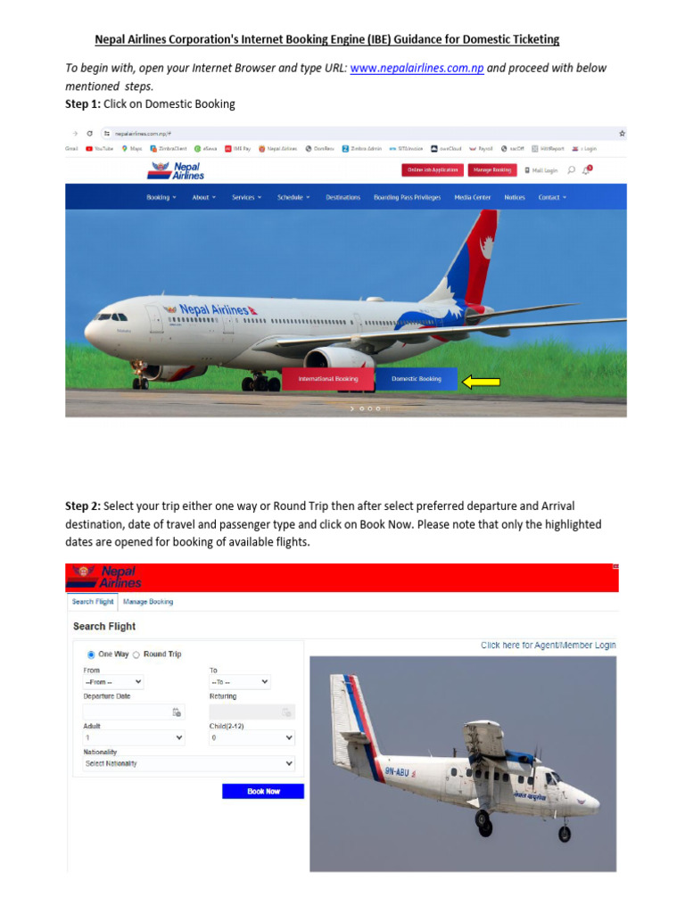 IBE Procedure Domestic | PDF