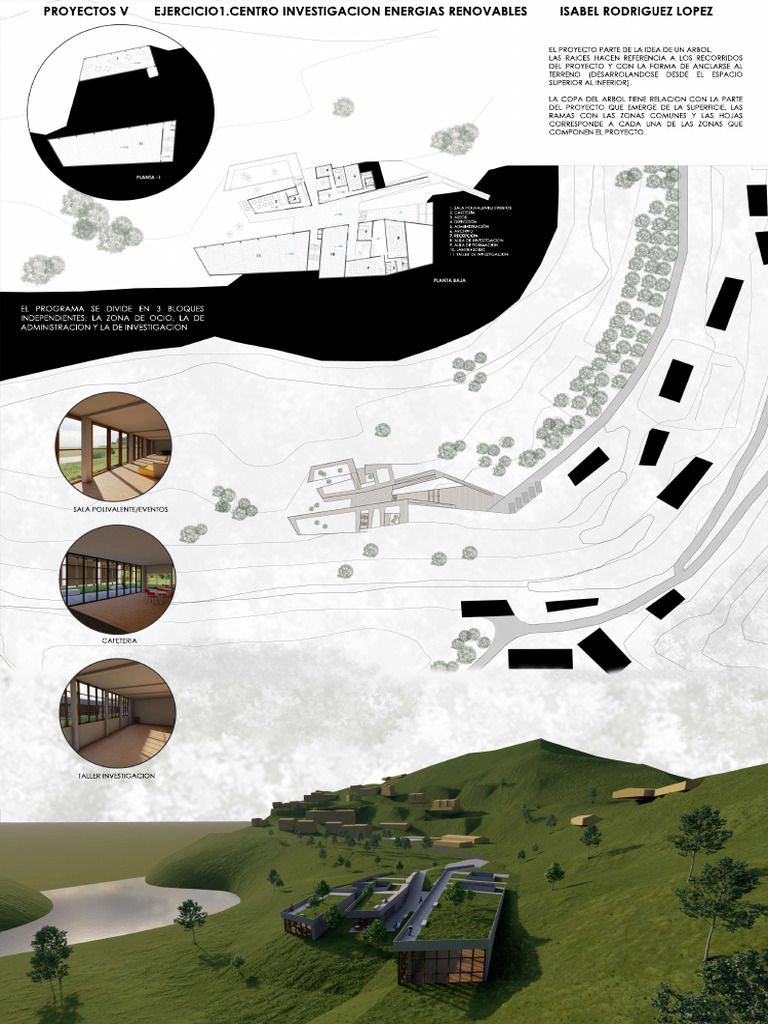 Panel Resumen Rodriguez Isabel | PDF
