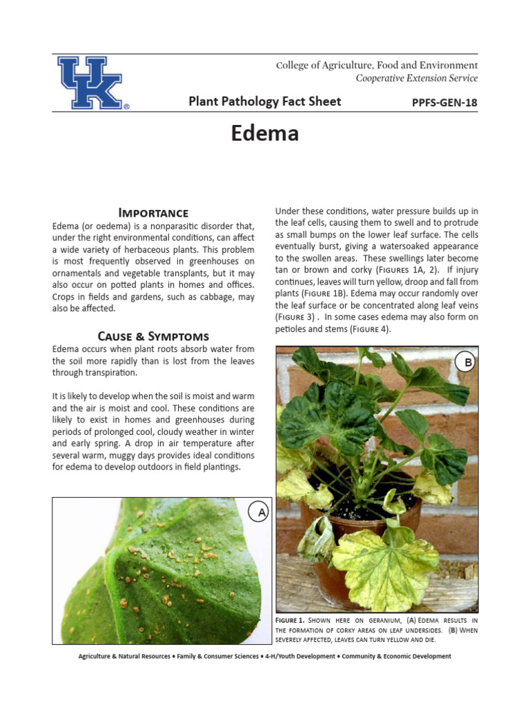 ppfs-gen-18 | PDF | Leaf | Edema