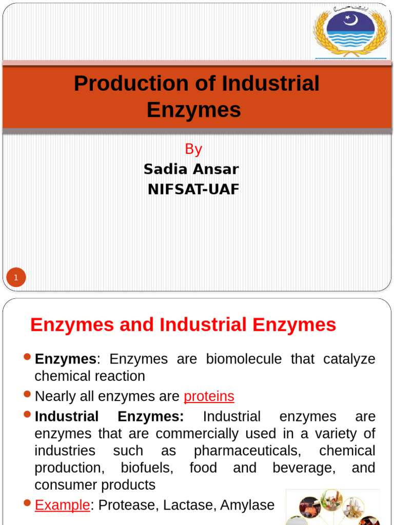 Production of Industrial Enzymes | PDF | Enzyme | Protein Purification
