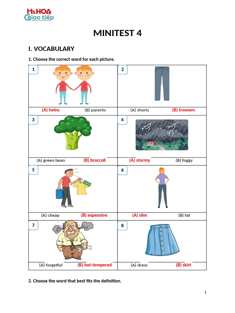 Vocabulary and Grammar Mini Test | PDF