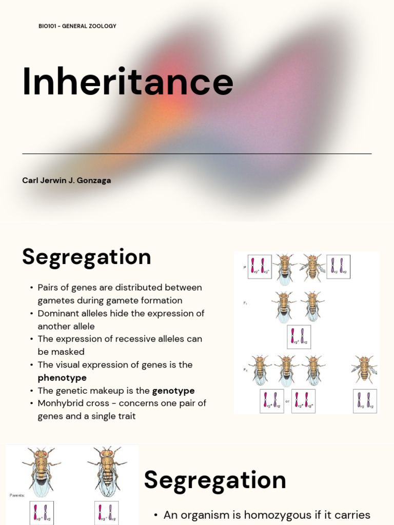 3.2 - Inheritance | PDF