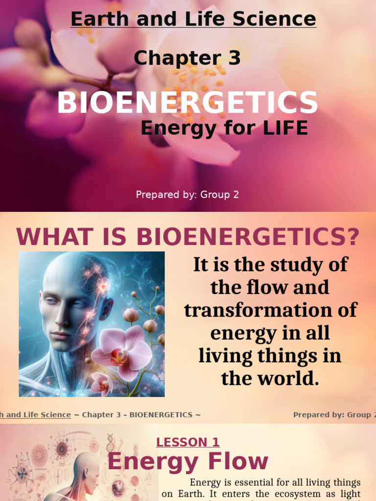 ELS Group 2 Presentation Edited | PDF | Cellular Respiration ...
