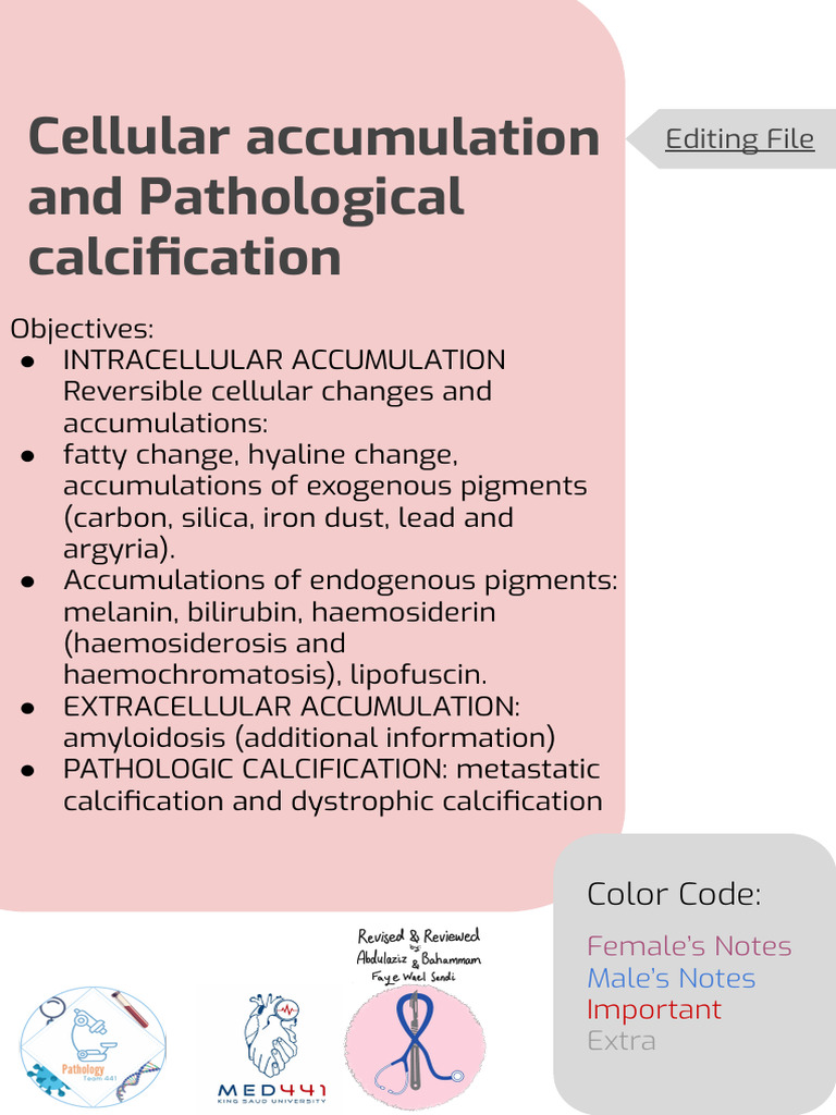 4-Cellular Accumulation and Pathological Calcification Team441 | PDF ...