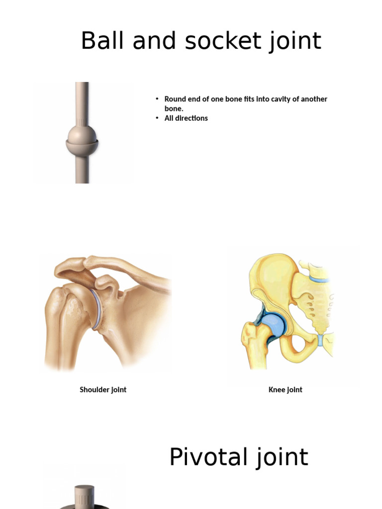 Types of Joint Movements Explained | PDF