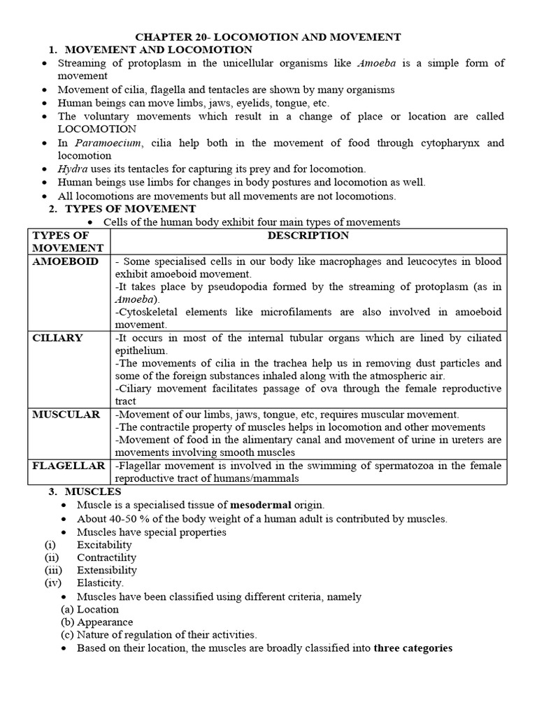 S 2024-25 Class 11 Chapter 20 Locomotion and Movement | PDF | Vertebral ...
