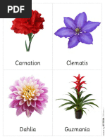 100 Flower Names in English | PDF